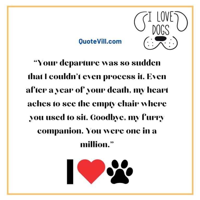 40 Heartfelt 1 Year Death Anniversary Quotes for Dog