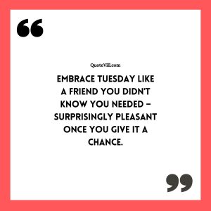 100 Funny Tuesday Quotes To Lighten Up Your Week with Laughter